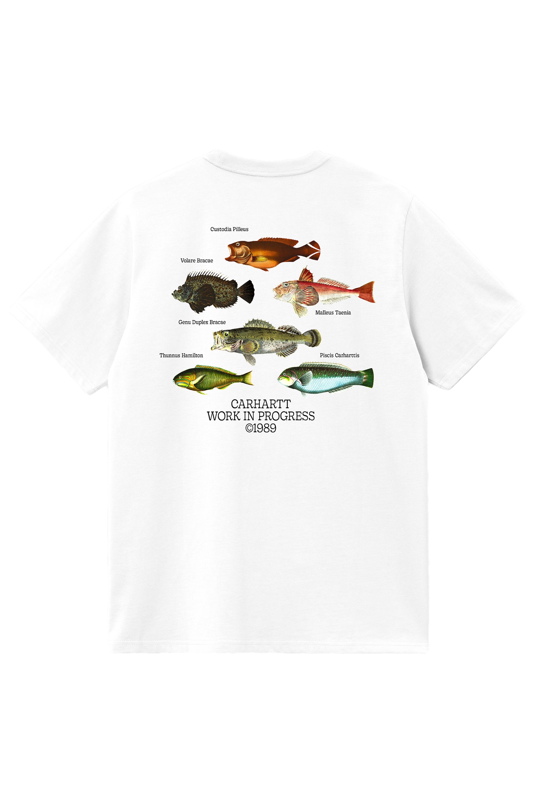 Carhartt, Carhartt WIP Fish Tee (White) - X21.nl